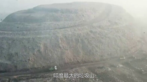 印度最大的垃圾山,鸟比人还要大,却养活了50万穷人