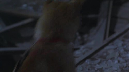根据真实事件改编,看到最后哭了!