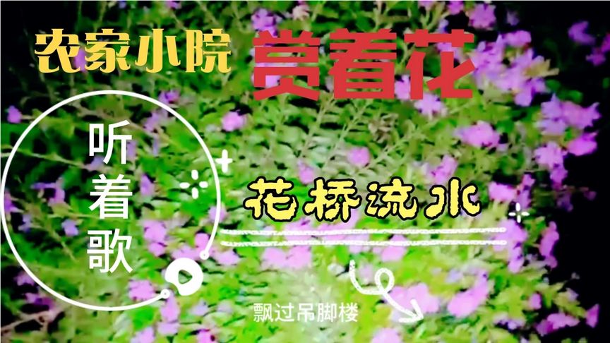 农家小院,庭院美化,看了就不想走!
