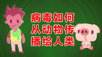 病毒如何从动物传播到人类?