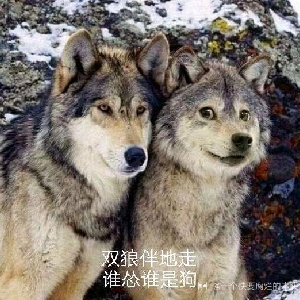 视频仅个人学习使用 