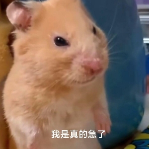 某绅士的老年大叔 