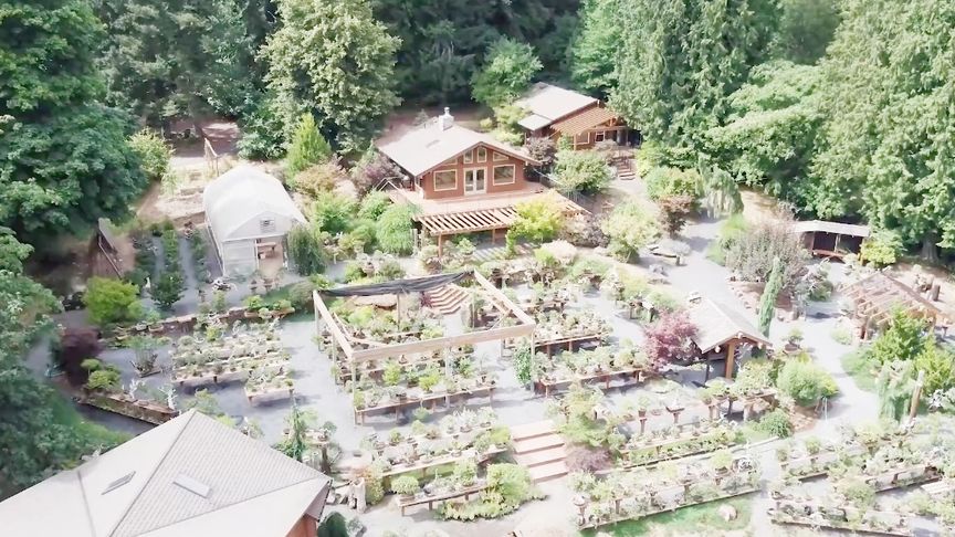 东方审美意境的盆景园设计(英文原版)