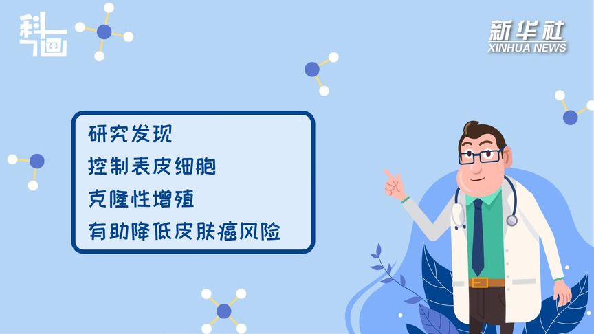 科画丨研究发现控制表皮细胞克隆性增殖有助降低皮肤癌风险