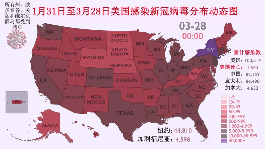 美国各州新冠病毒变化动态图,