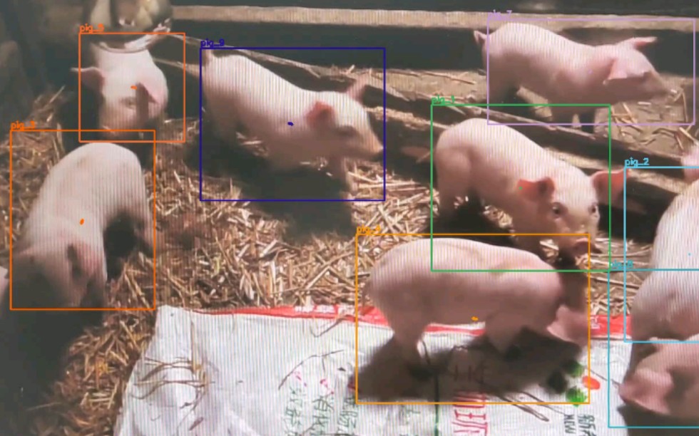 YOLOv3+SORT 实现小猪的多目标跟踪