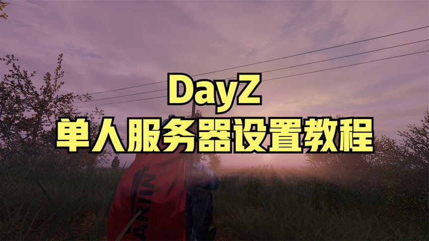 教程来啦~~DayZ单人服务器设置~