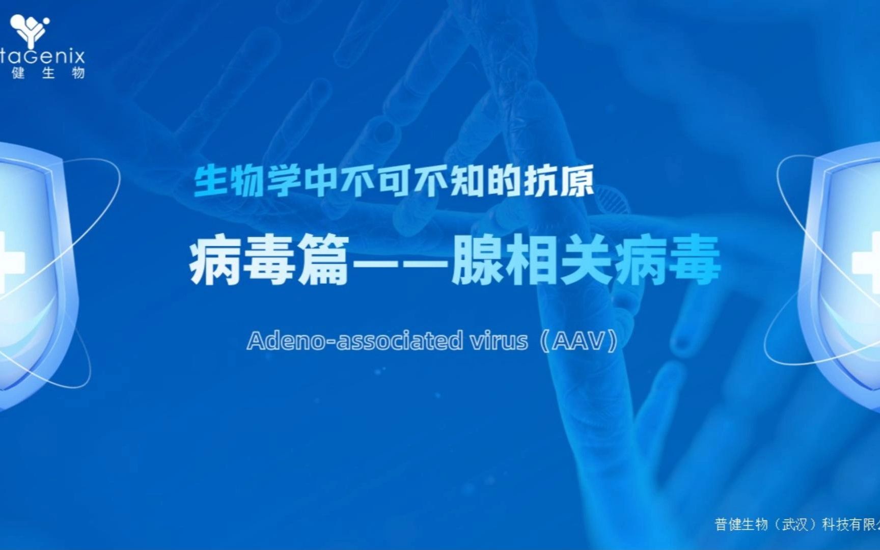 生物学中不可不知的抗原——腺病毒