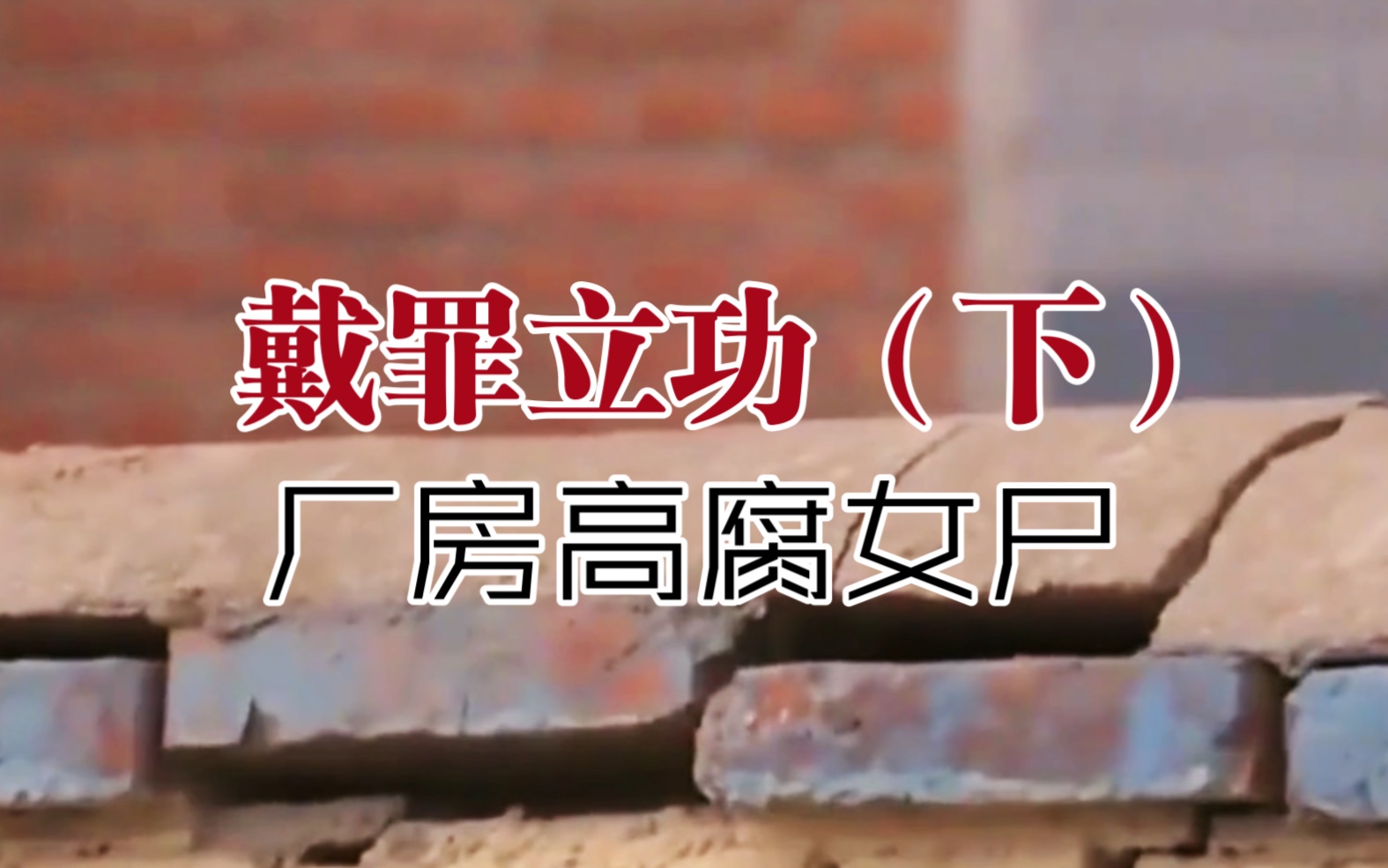 吉林省伊通满族自治县/2015年12月底《戴罪立功》下集