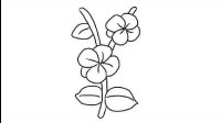 五分钟画完漂亮的梅花幼儿亲子简笔画