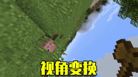 我的世界:视角变换