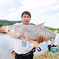 岭你趣钓鱼