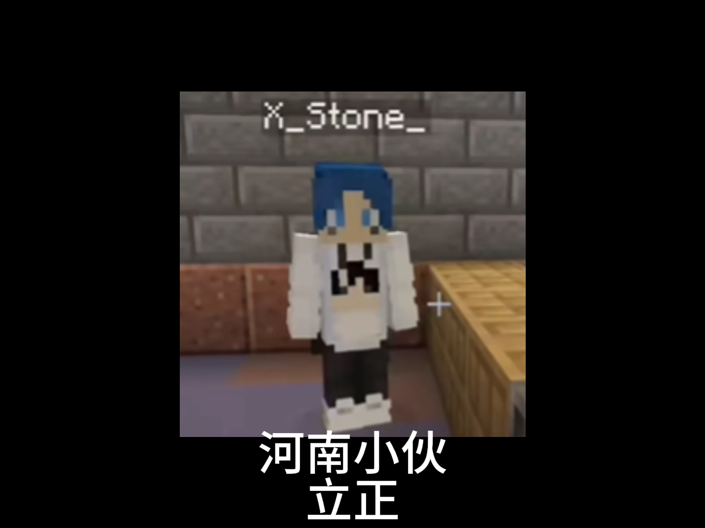 【我的世界木鱼/木鱼乐风】整活!