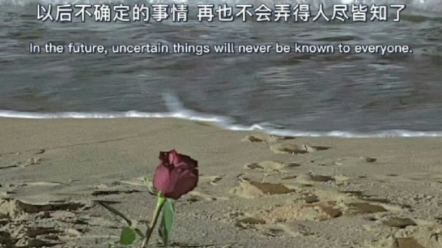 “其实我很早就知道我们不合适,但我还是拒绝了所有人,陪你走过一段...