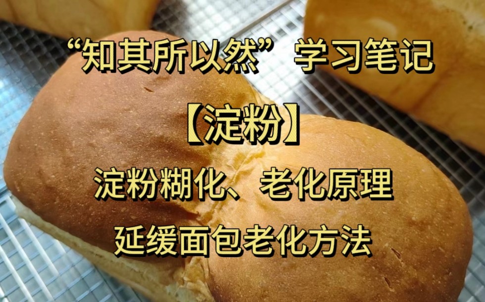 “知其所以然”学习笔记之【淀粉】:淀粉糊化、老化原理,延缓面包...