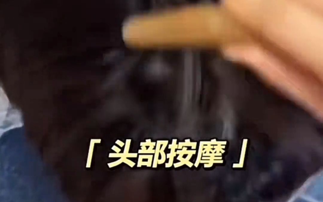 按摩梳金丝檀木头皮经络女士疏通头部多功能宽齿五指天然木梳子!