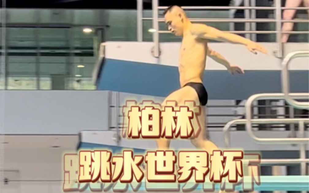 柏林跳水世界杯Day2