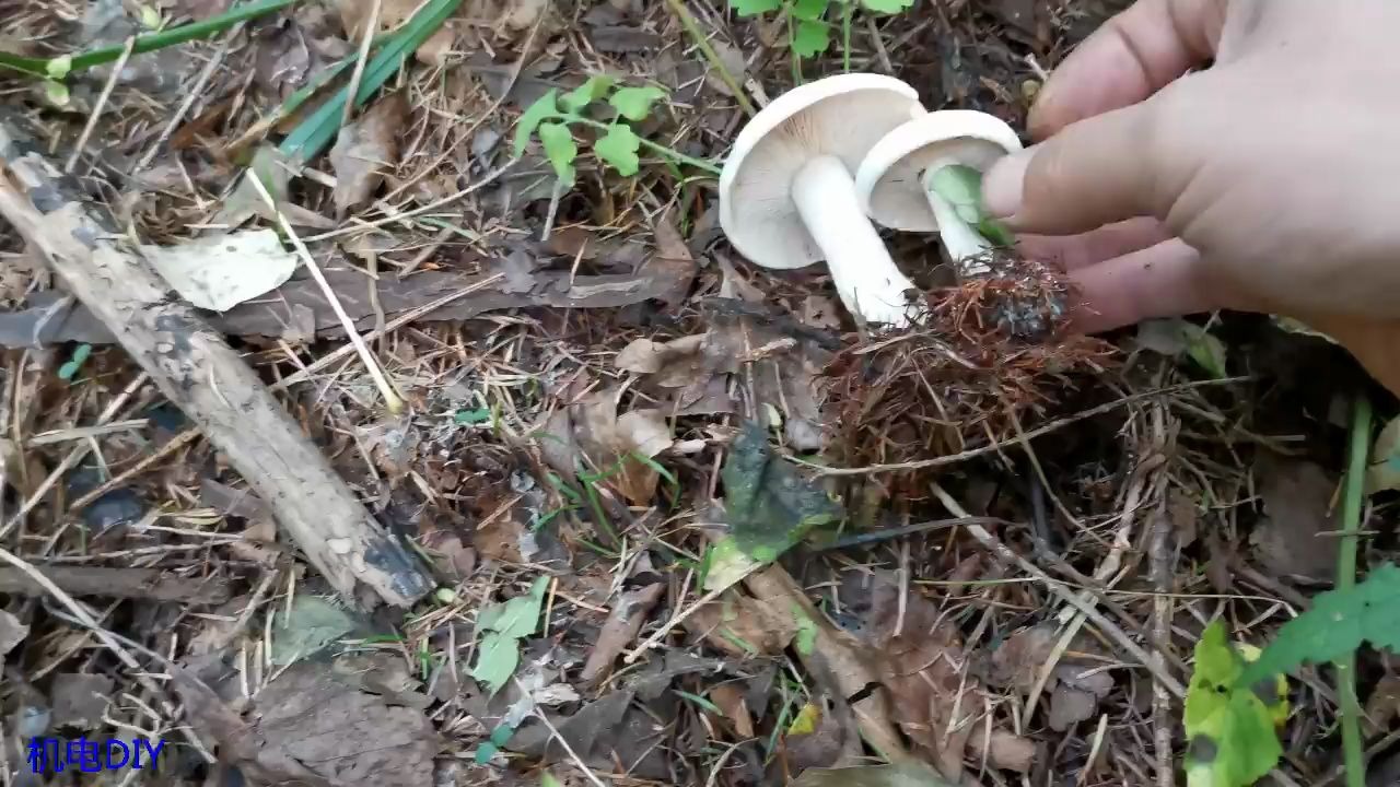 给传动轴更换十字轴!都锈的不要不要的