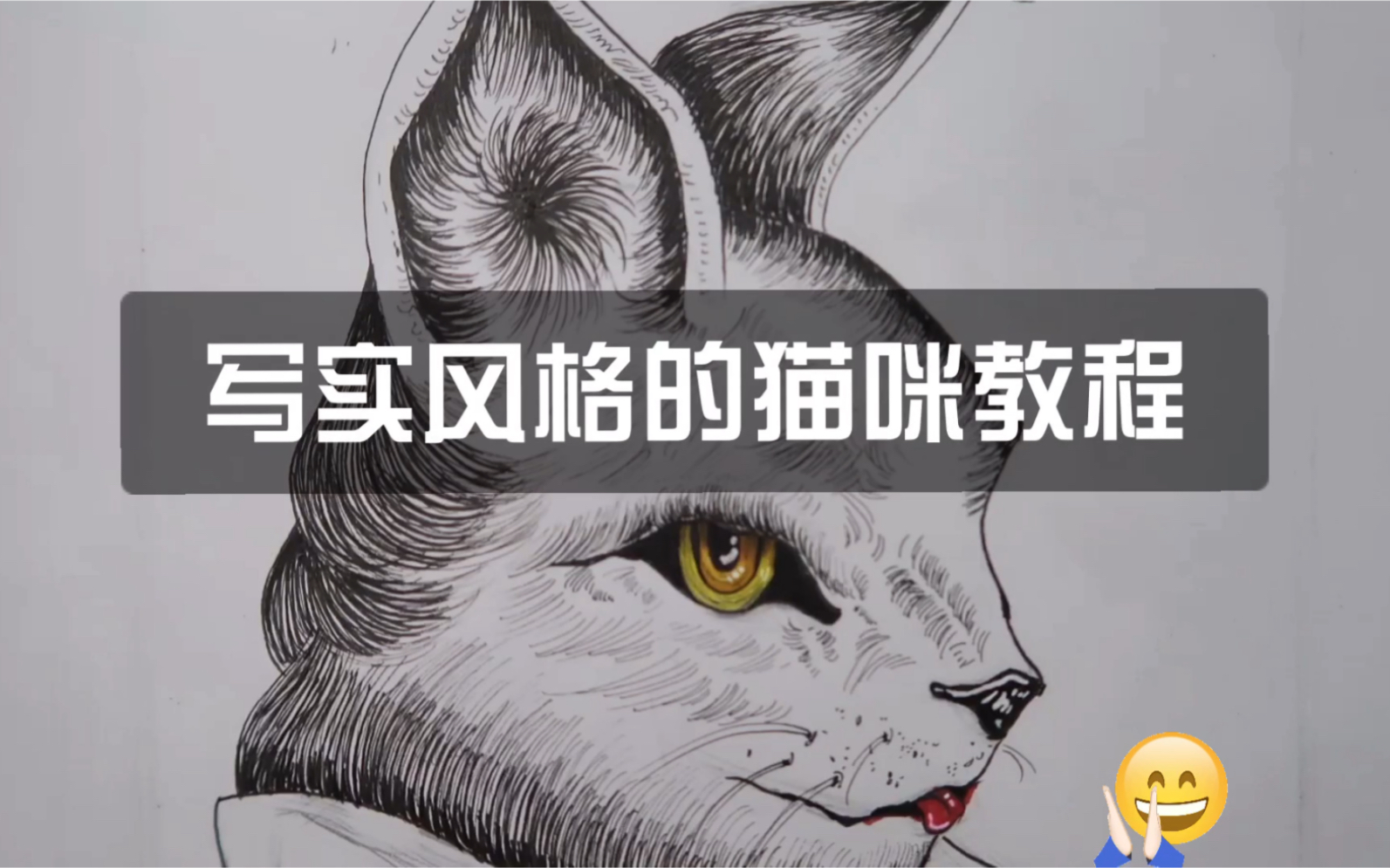 写实风格 猫咪画法教程
