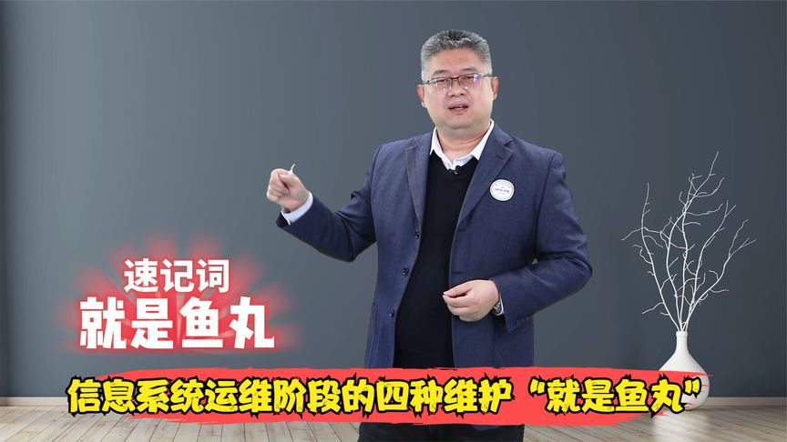 信息系统运维阶段的四种维护“就是鱼丸”#软考 @薛大龙说软考