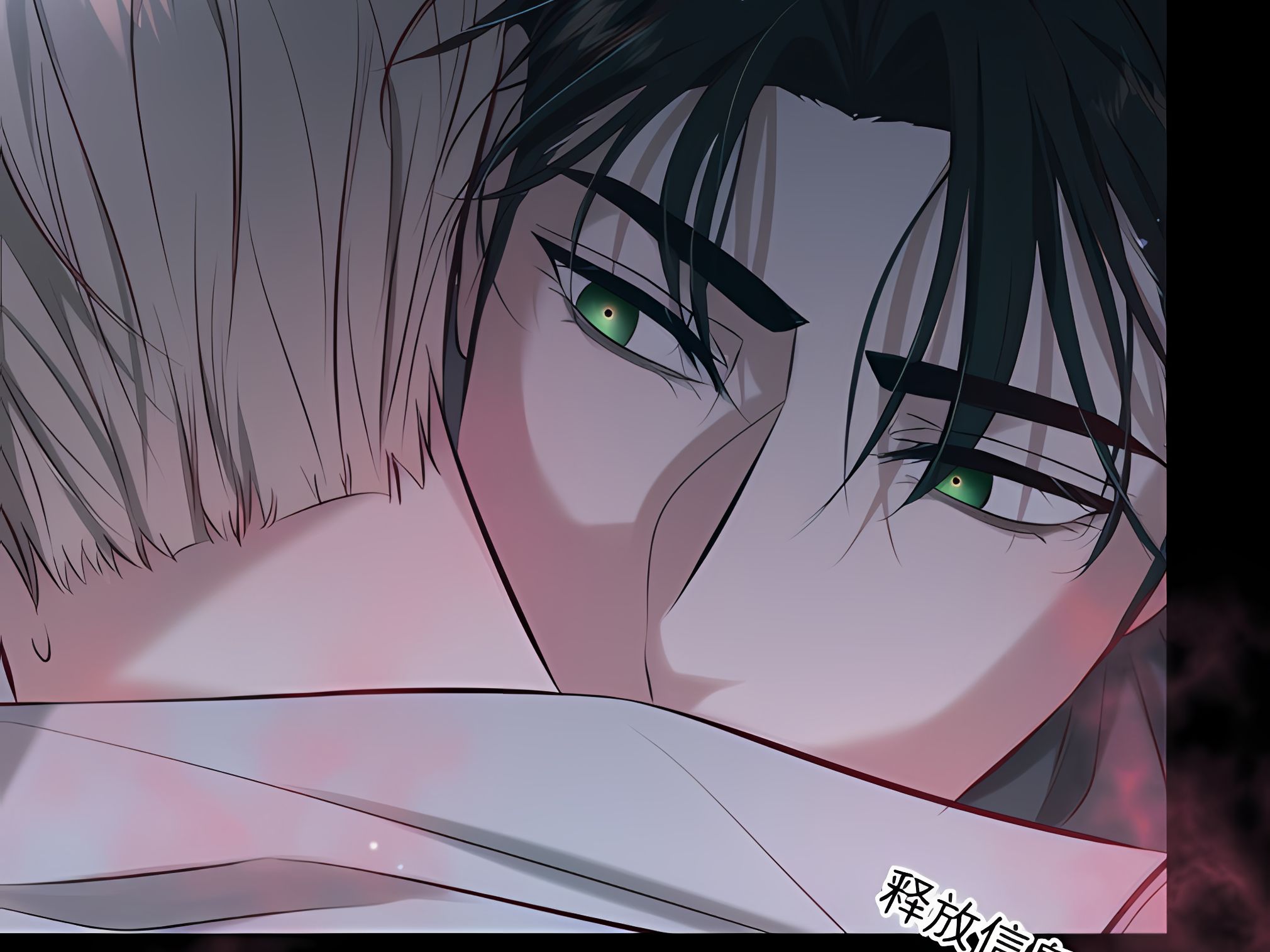 同行标记2:狼崽子终于找到哥哥了