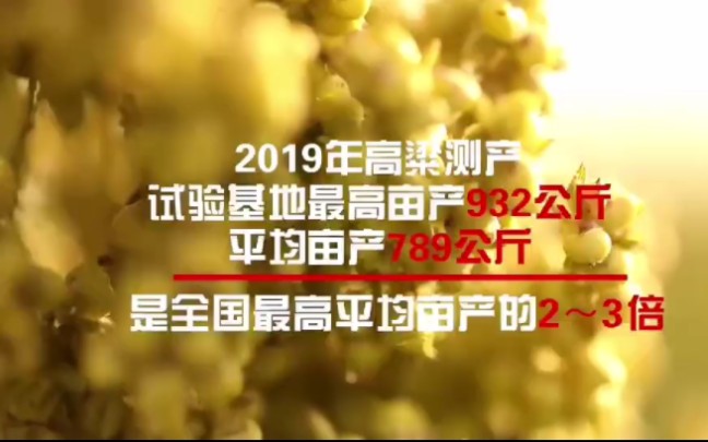 当力学遇上沙漠--沙漠变绿洲--沙漠土壤化原理介绍。