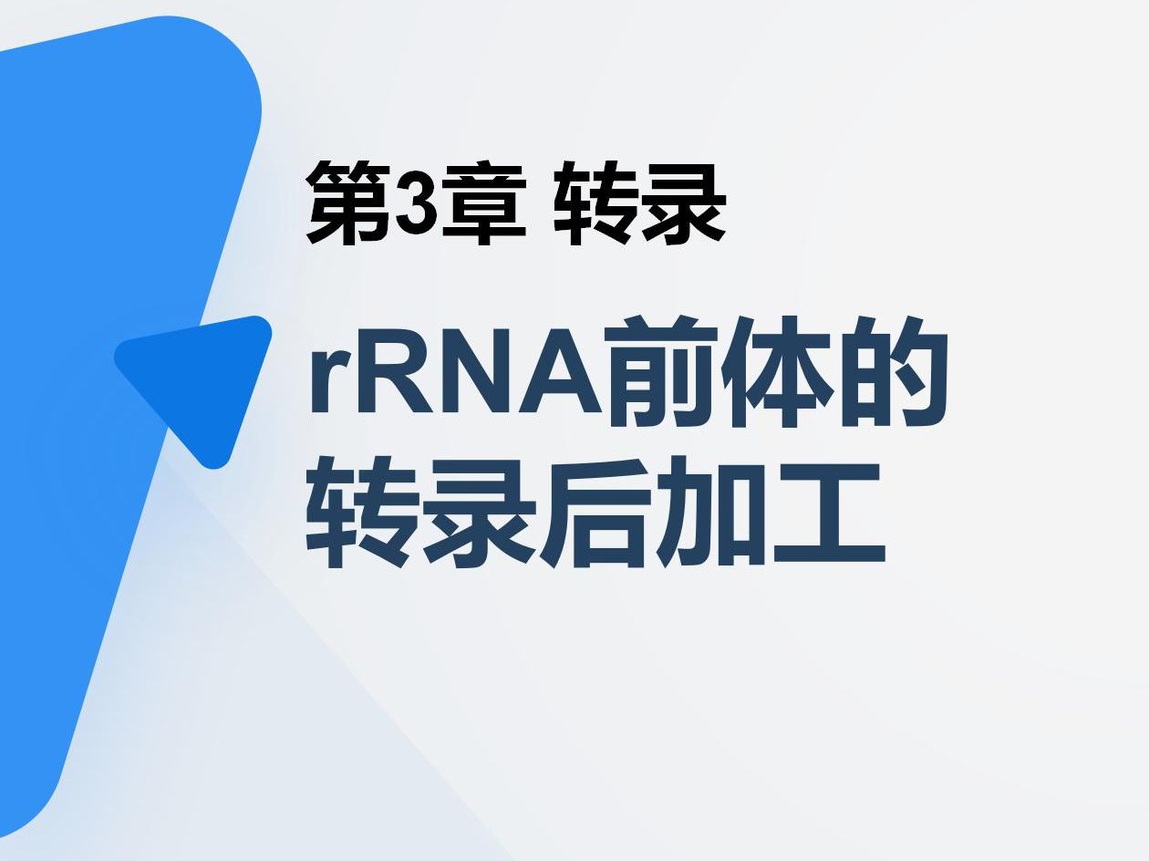 【分子生物学】第3章 转录 | 第4节 RNA的转录后加工 | rRNA前体的...