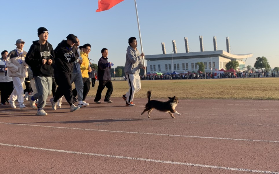 湖工校运会·高燃混剪