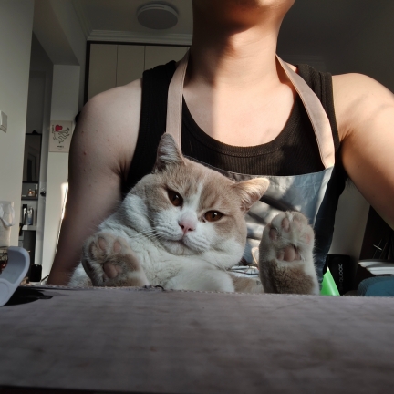 是北雁 