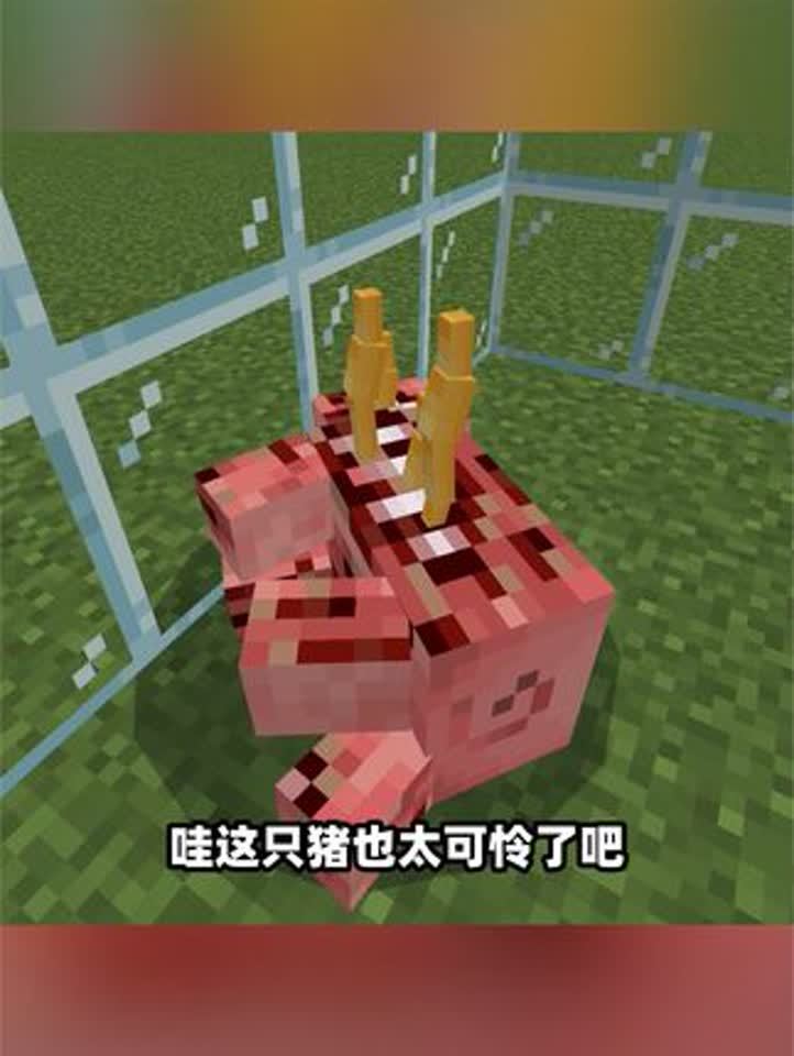 我的世界寄生虫mod #我的世界