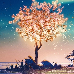 世艳_ 