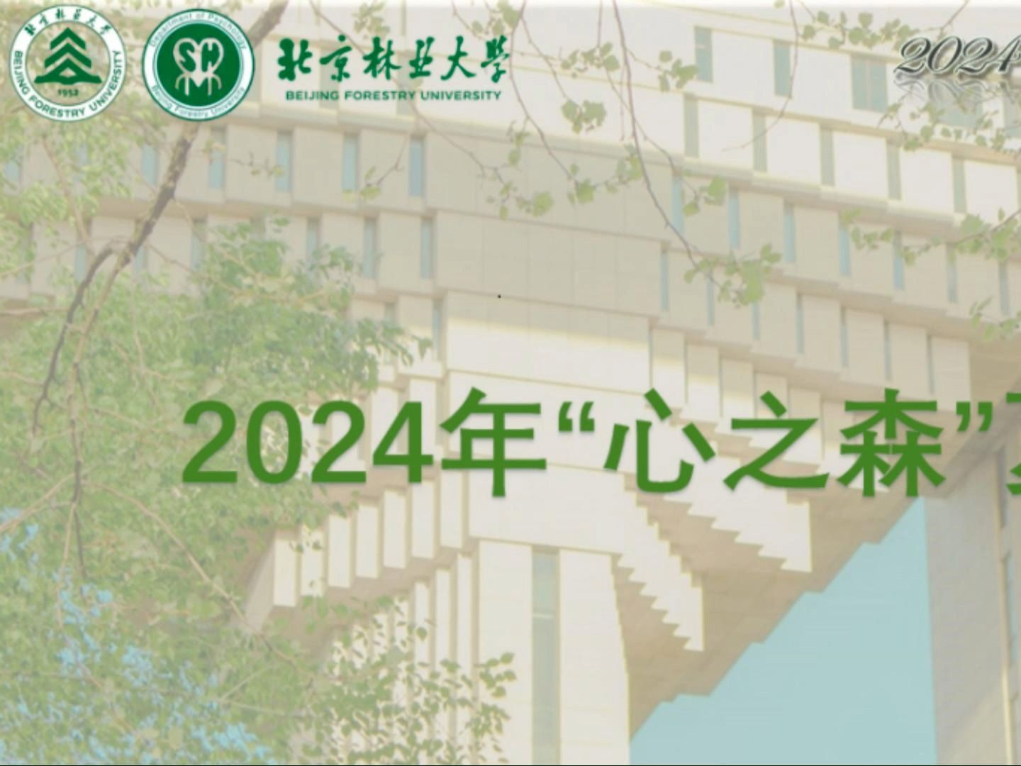 北京林业大学心理学系2024年“心之森”夏令营回放