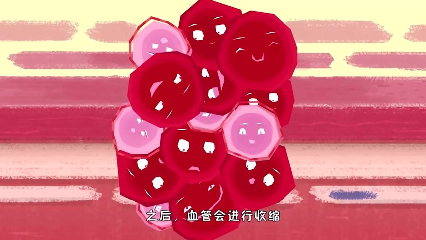 伤口是如何实现自愈的?动画演示愈合全过程,看完后觉得太神奇了