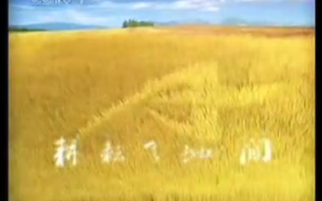 CCTV-7耕耘天地间宣传片之稻田篇