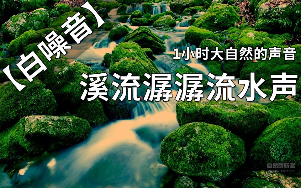 【白噪音】大自然的声音——溪流潺潺流水声