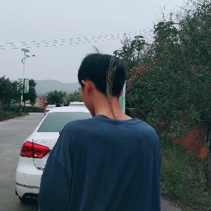 一只小小海 