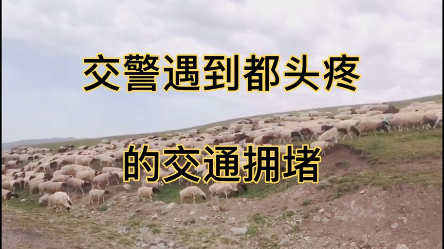 交警遇到了都头疼的交通拥堵