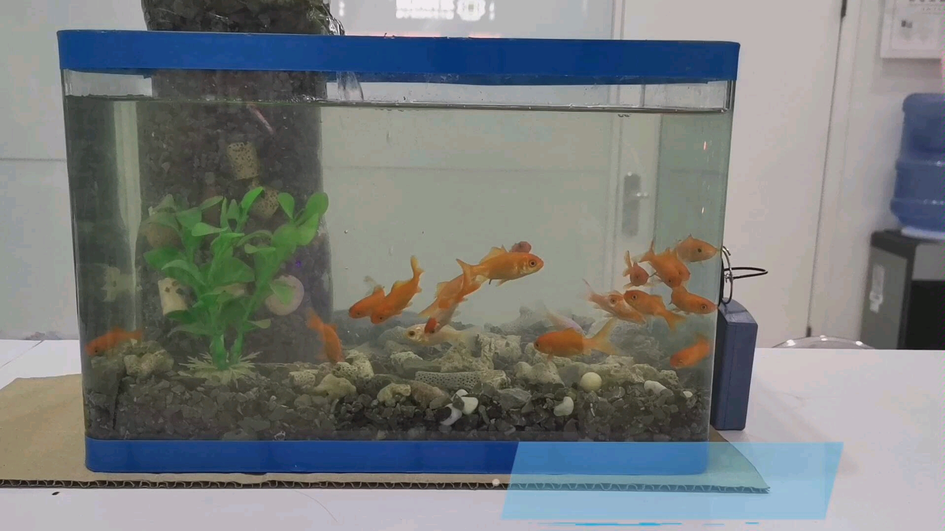 自制小鱼缸过滤器