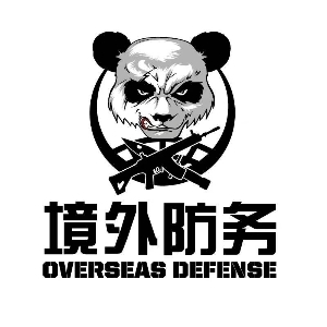 境外防务王sir 