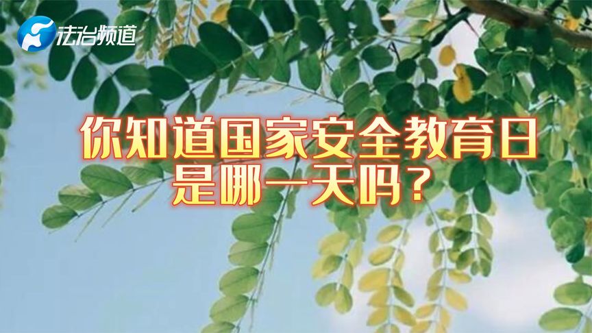4·15全民国家安全教育日 国安知识您知多少?
