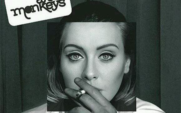 用typemonkey做的adele《Hello》