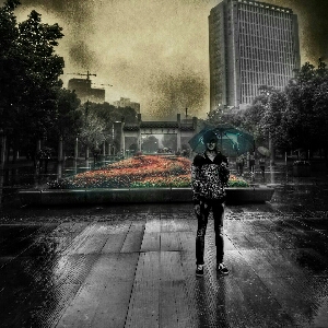 忆往昔建木 