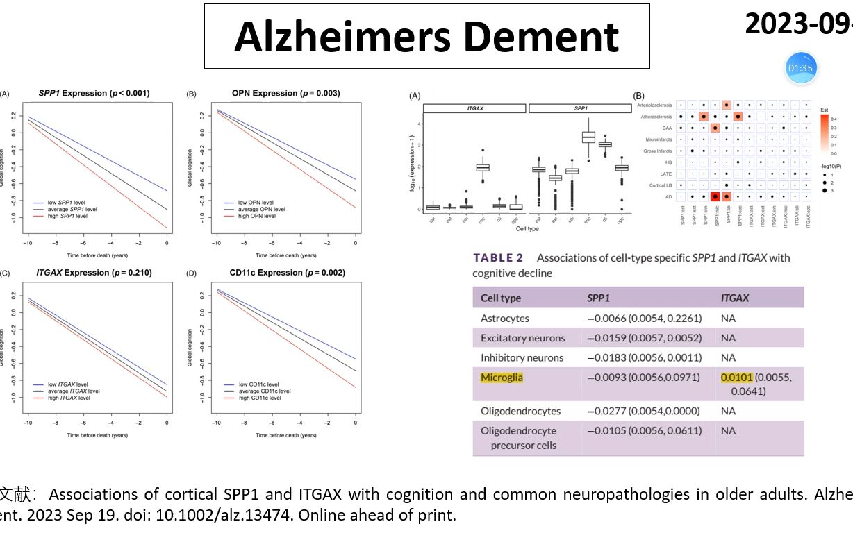 Alzheimers Dement—皮层SPP1基因表达和认知功能下降及AD病理...