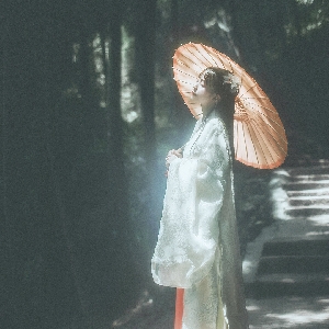 赛博诗鬼 