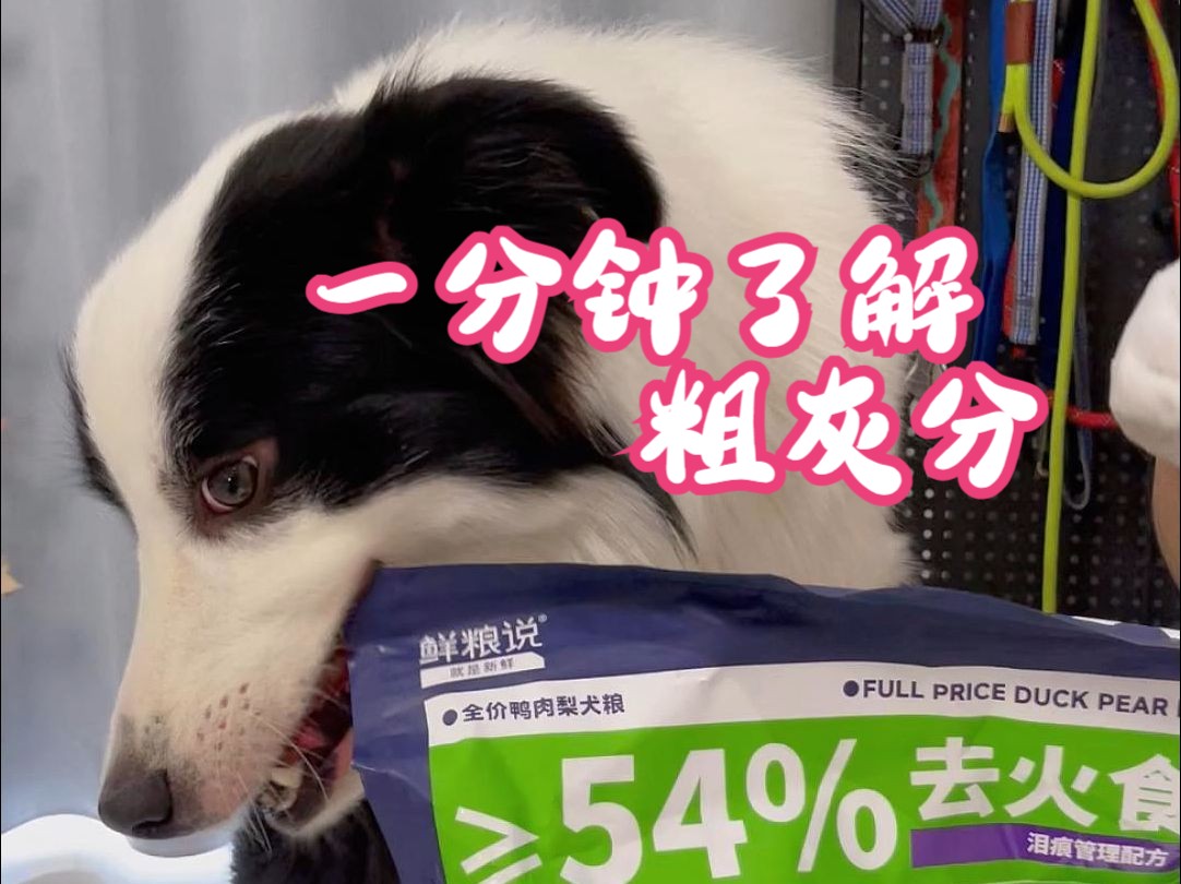 一分钟了解什么是粗灰分