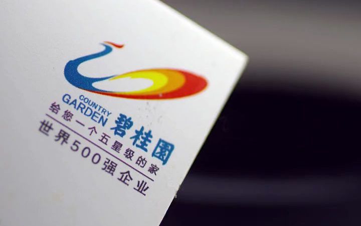 #软件开发 #RPA #碧桂园 - 抖音