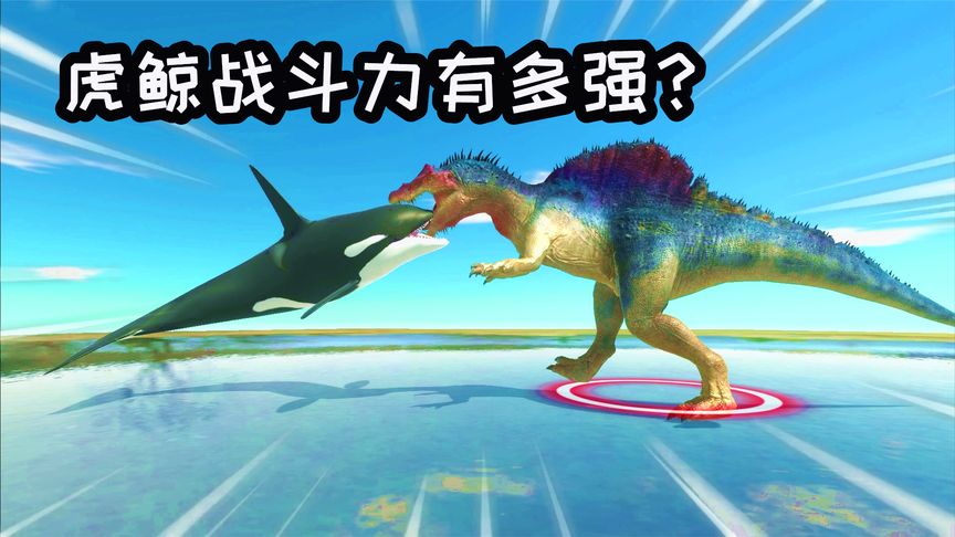 动物模拟器:虎鲸战斗力测试,和棘龙打的有来有回?