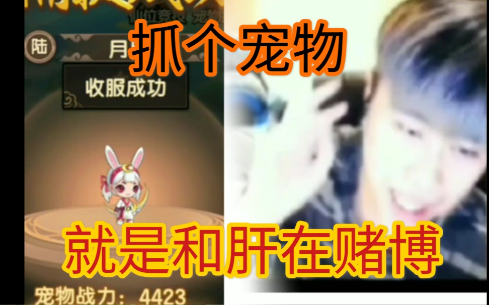 【造梦无双】抓个宠物就是在和肝赌博