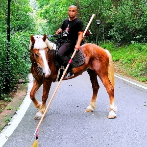 武术二胖 