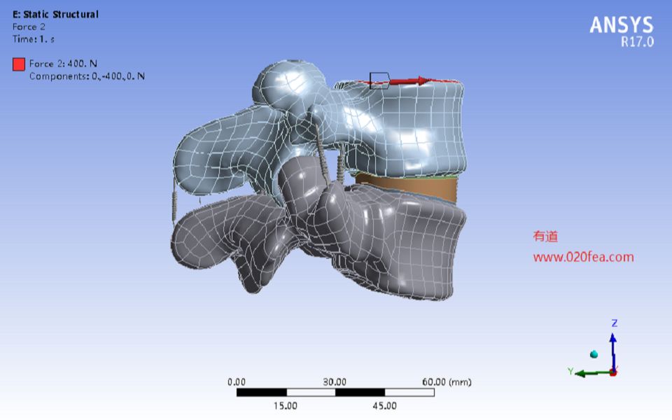 脊柱专题-医学有限元分析(包含三维模型重建和生物力学分析)